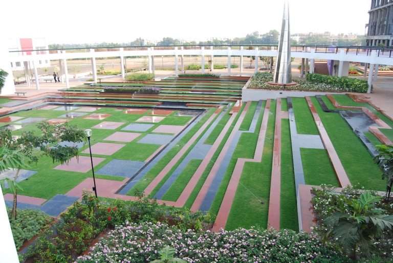 Best Plant Nursery in Nashik: Papaya's Nursery Review